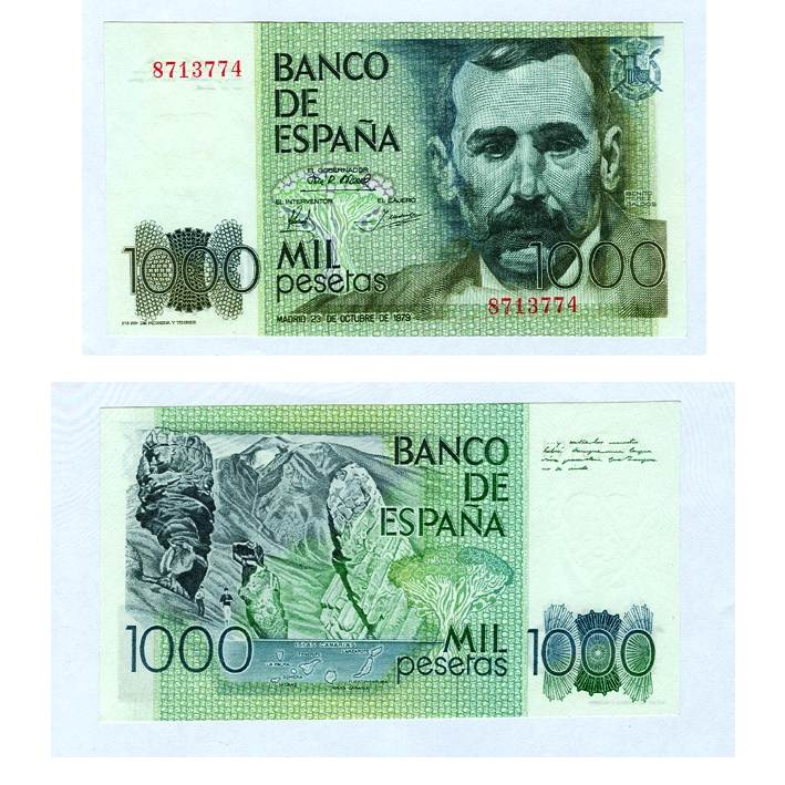 "Talego", origen y distintos significados de la palabra